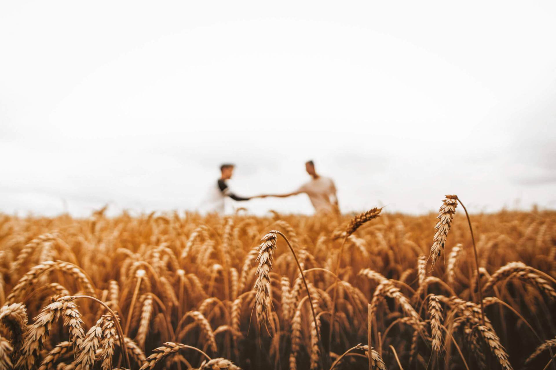 Grain Storage: Managing grain quality with silos - Enmach Poly Grain Silos